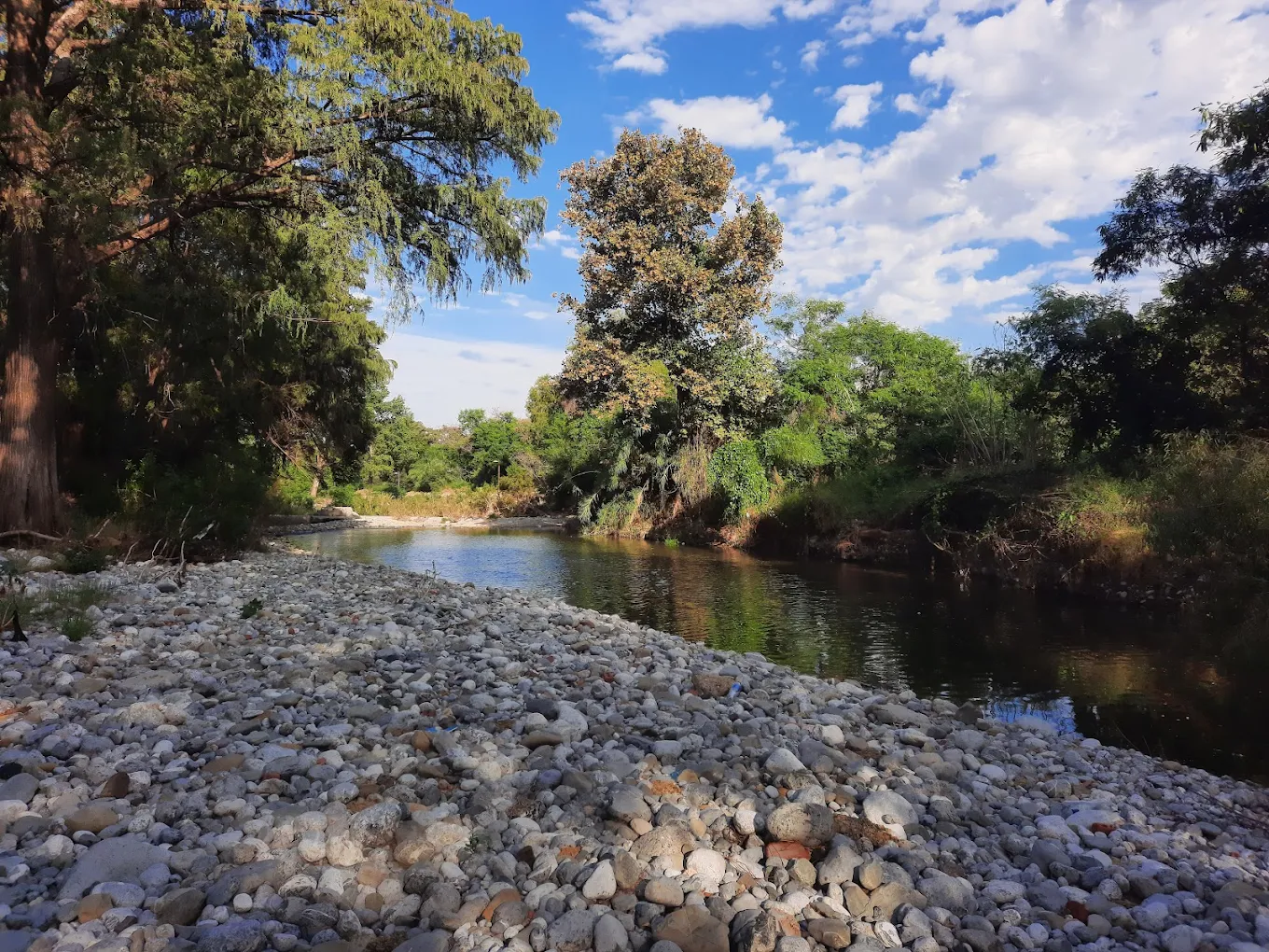Parque Tolteca: fotografía urbana y naturaleza en Guadalupe